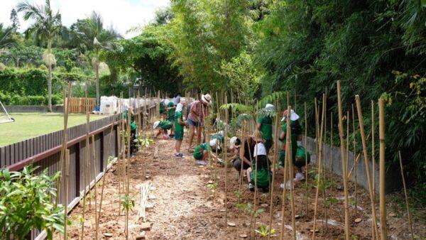 About ICHK HLY KG & Primary - ICHK HLY