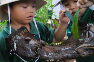 International College Hong Kong Hong Lok Yuen